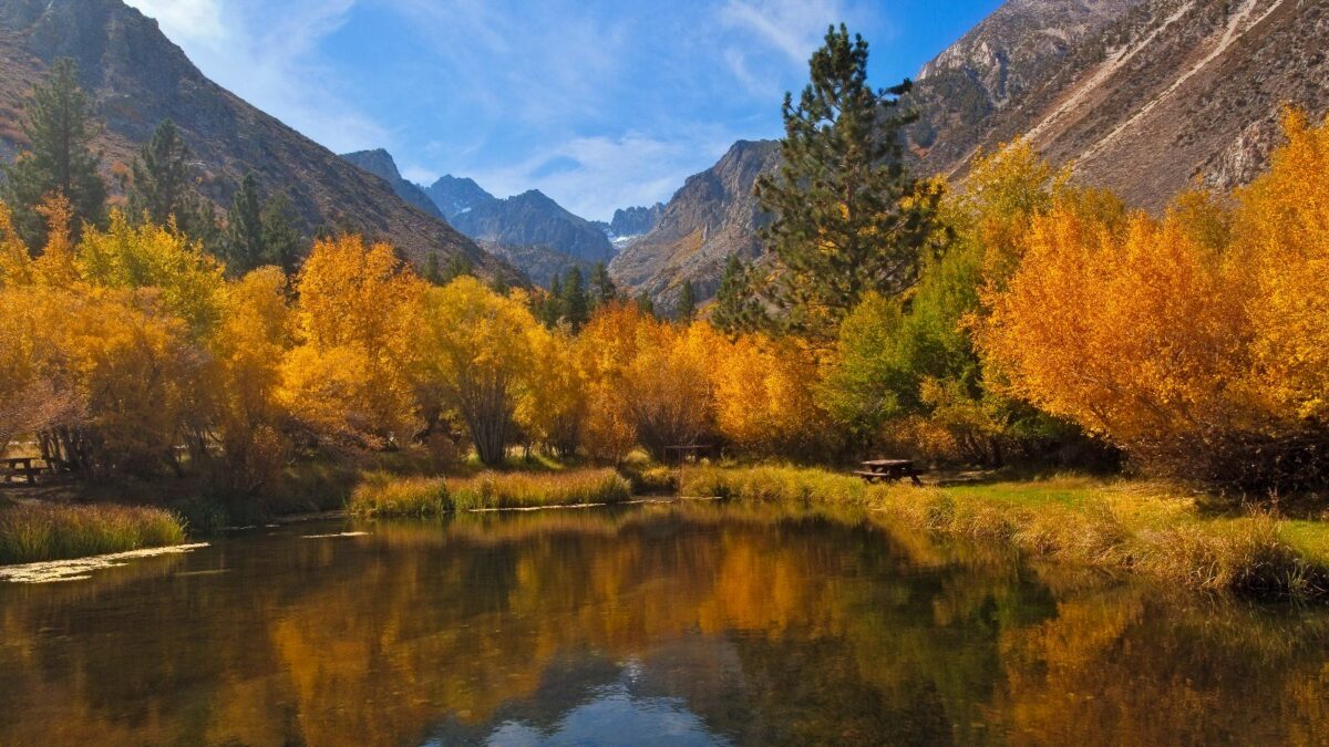 Why You Should Visit Yellowstone Country For Stunning Fall Colors